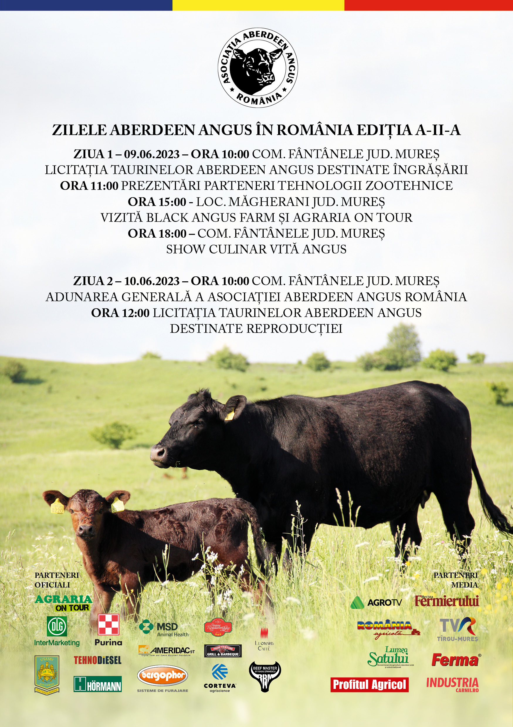 Știri - Aberdeen Angus