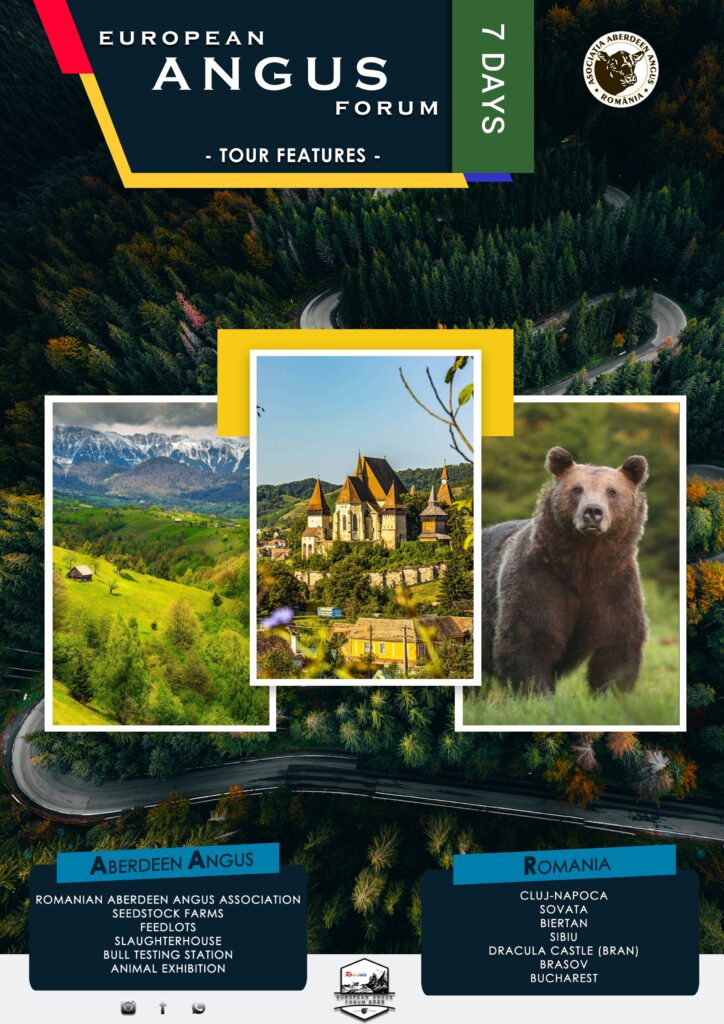 Visitor Information - Aberdeen Angus