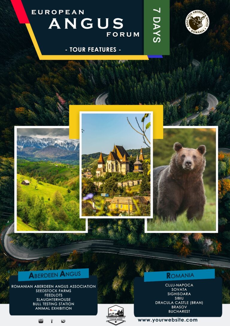 Visitor Information - Aberdeen Angus